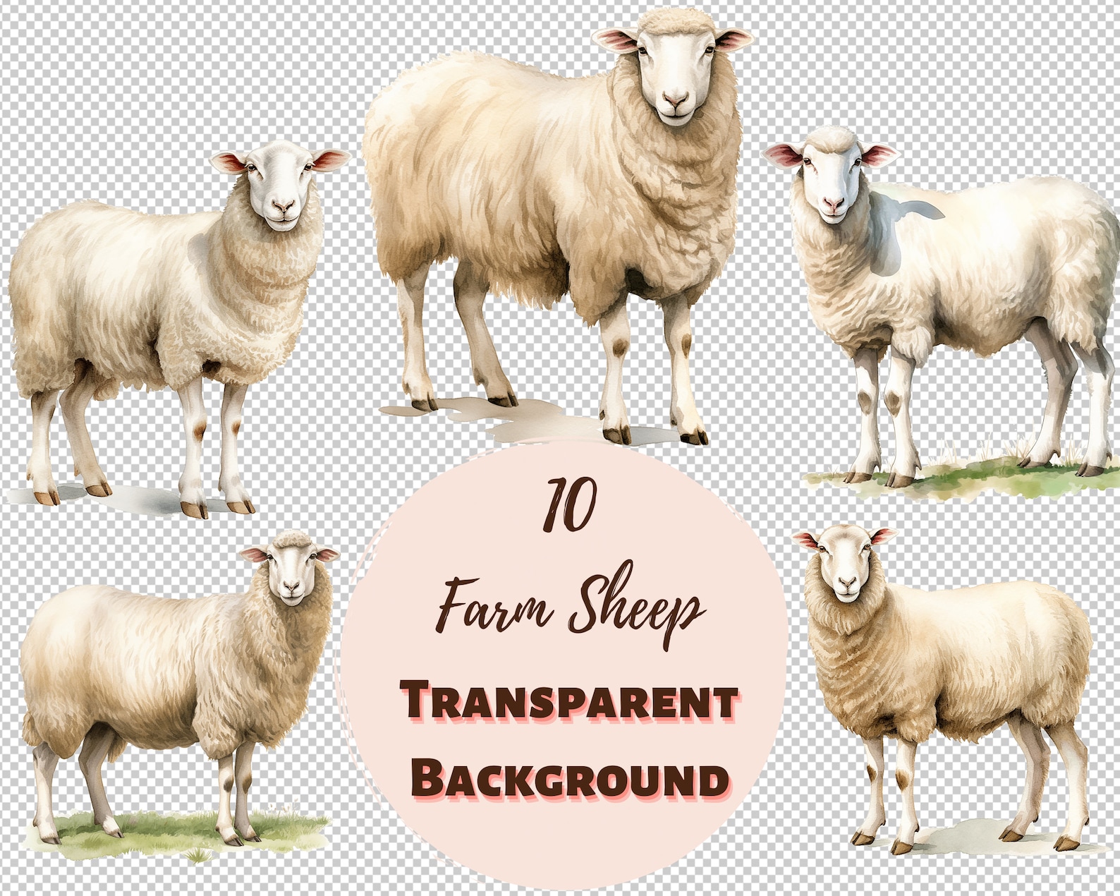 Farm Sheep Clipart Bundle Transparent PNG Collection, Digital Prints ...