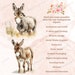 Farm Donkey Clipart Bundle Transparent PNG Collection, Digital Prints ...