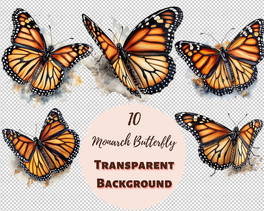 Monarch Butterfly Clipart Bundle - Transparent PNG Collection ...