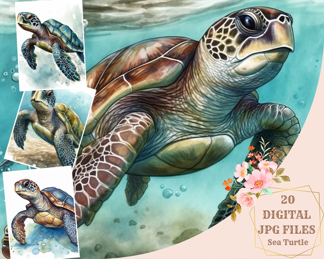 Sea Turtle Design Bundle: Cute Clipart Digital Prints and - Etsy