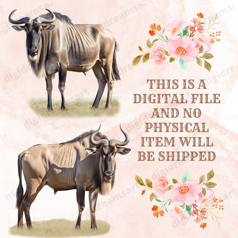 Gnu Clipart Bundle Transparent PNG Collection Digital - Etsy
