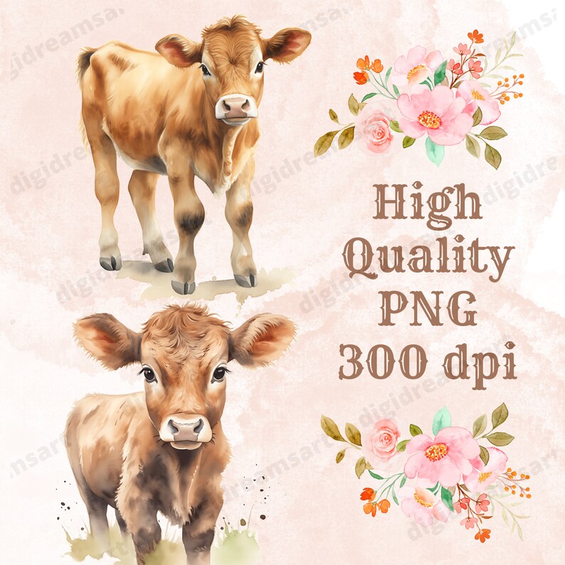 Mini Cows Mega Bundle 50 PNG Clipart Images Transparent PNG - Etsy
