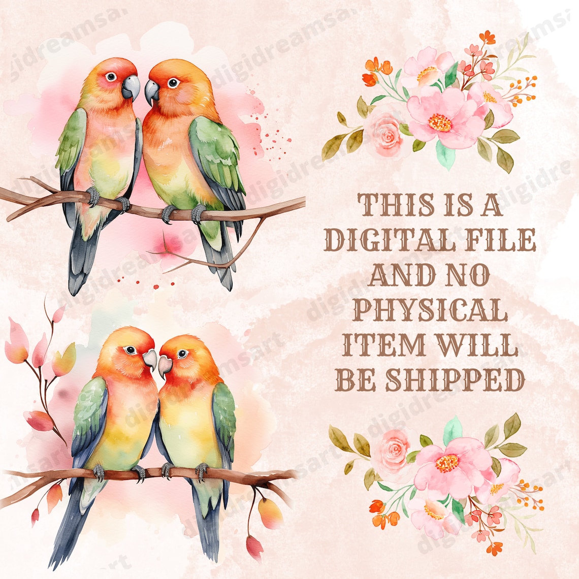 Lovebird Clipart Bundle - Transparent PNG Collection, Watercolor ...
