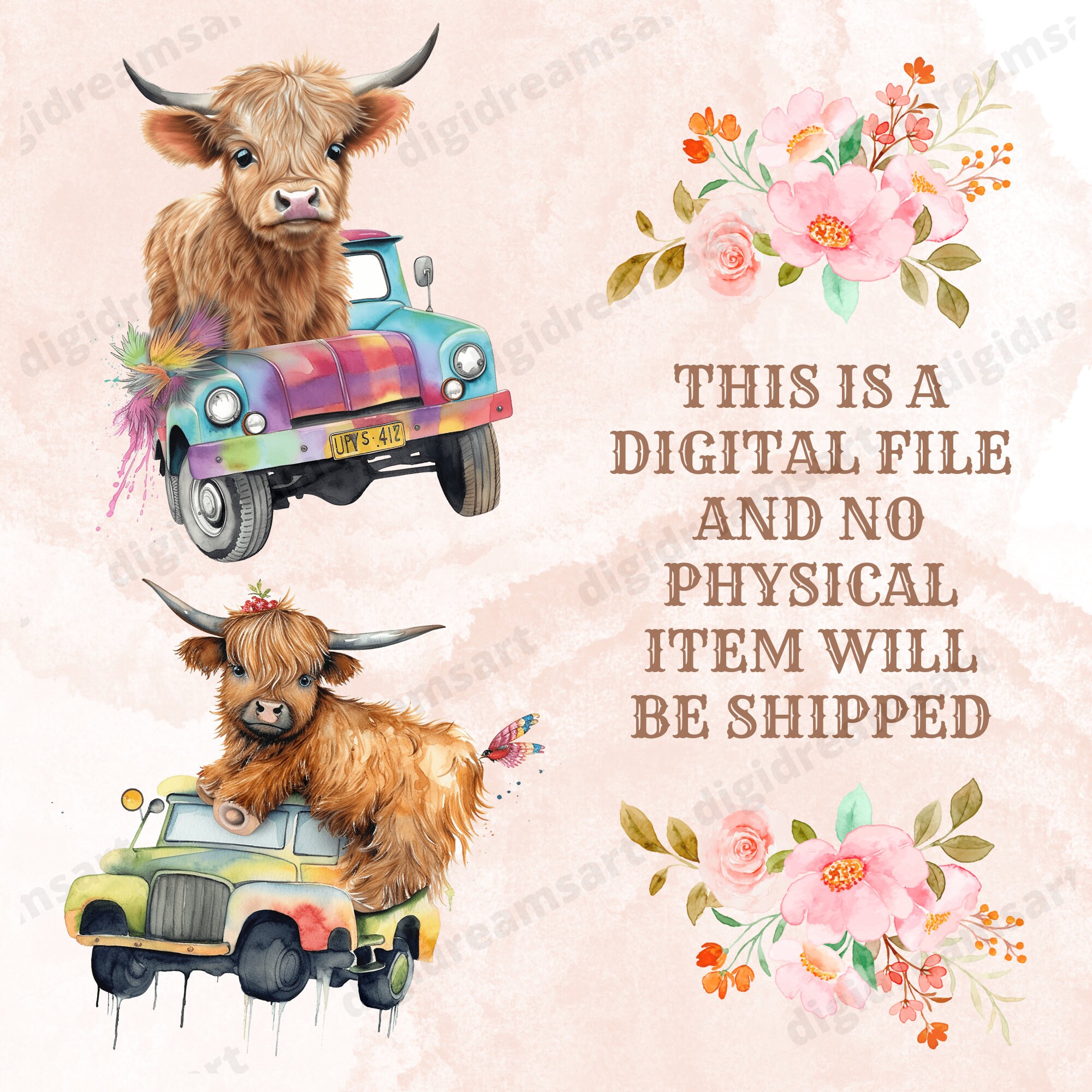 Highland Cow on Car Clipart Bundle Transparent PNG Collection ...