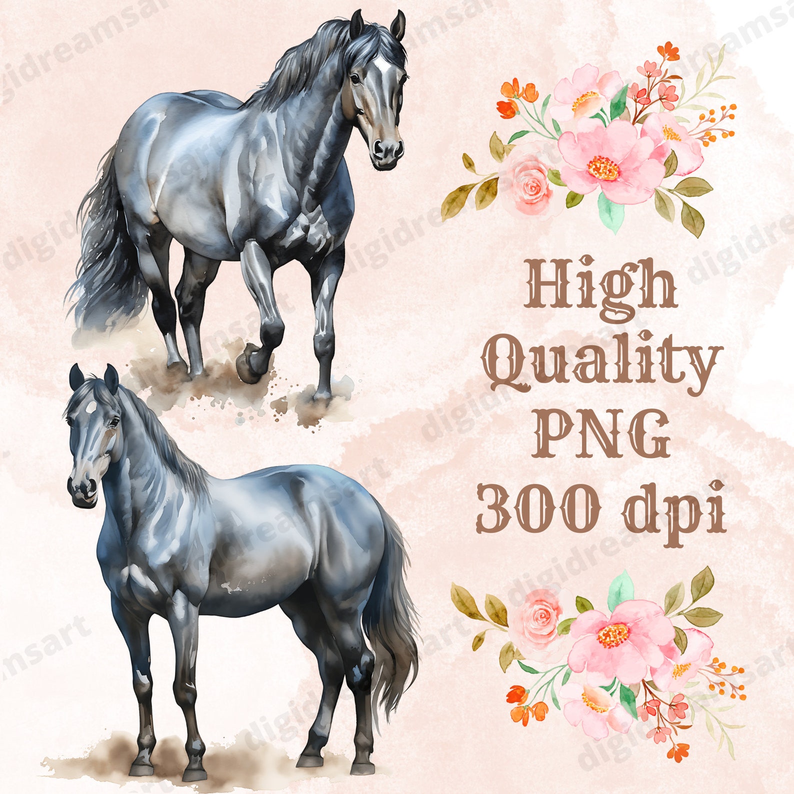 Blue Roan Quarter Horse Clipart Bundle Transparent PNG Collection ...