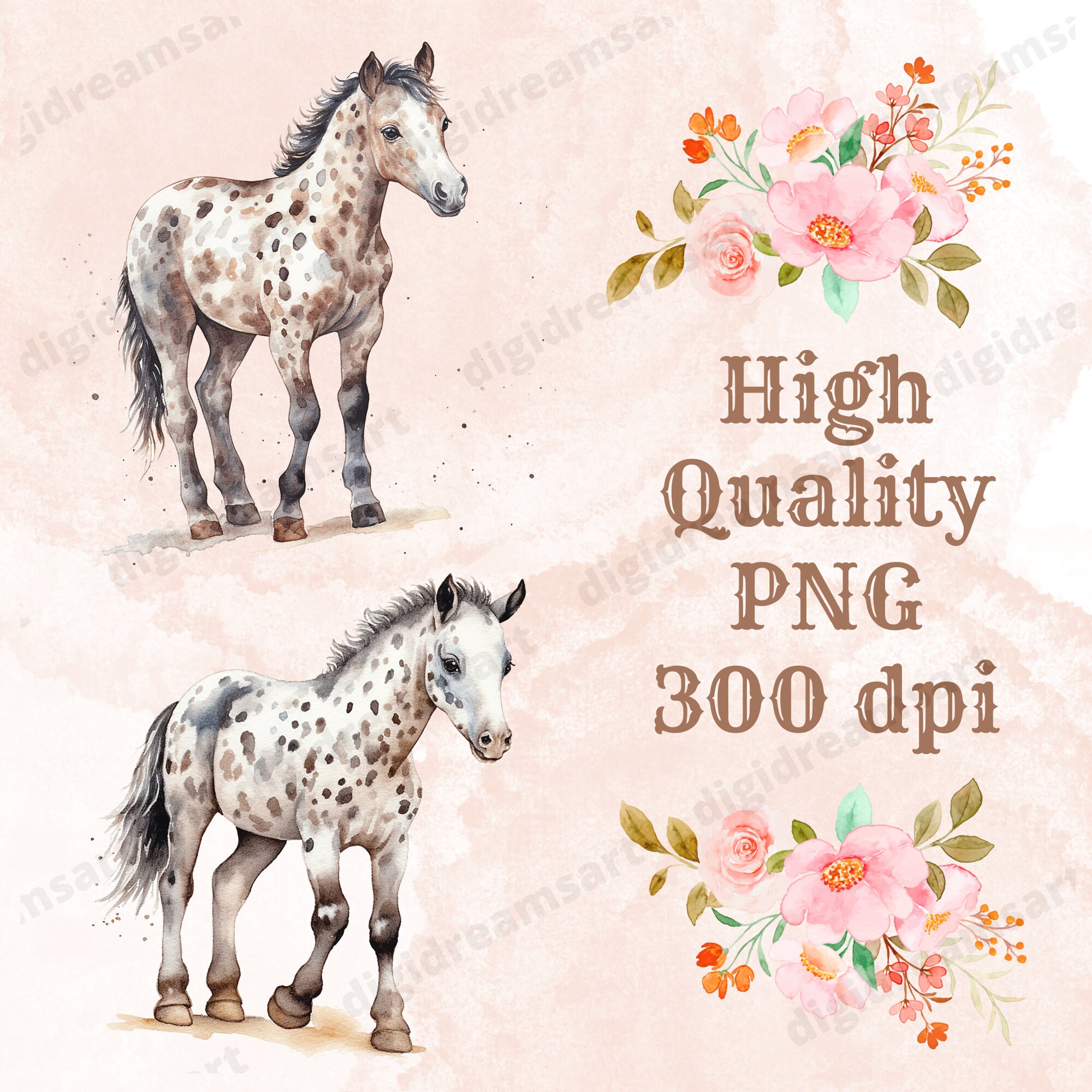 Appaloosa Baby Horse Transparent PNG Collection Watercolor - Etsy