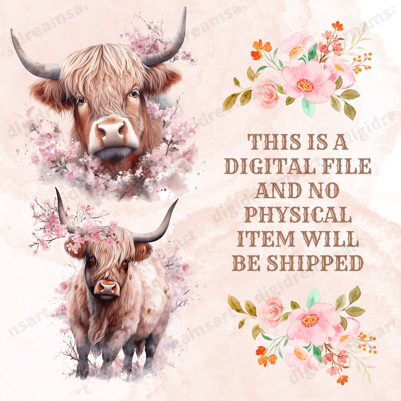 Highland Cow in Sakura Flowers Design Bundle PNG Transparent Clipart ...