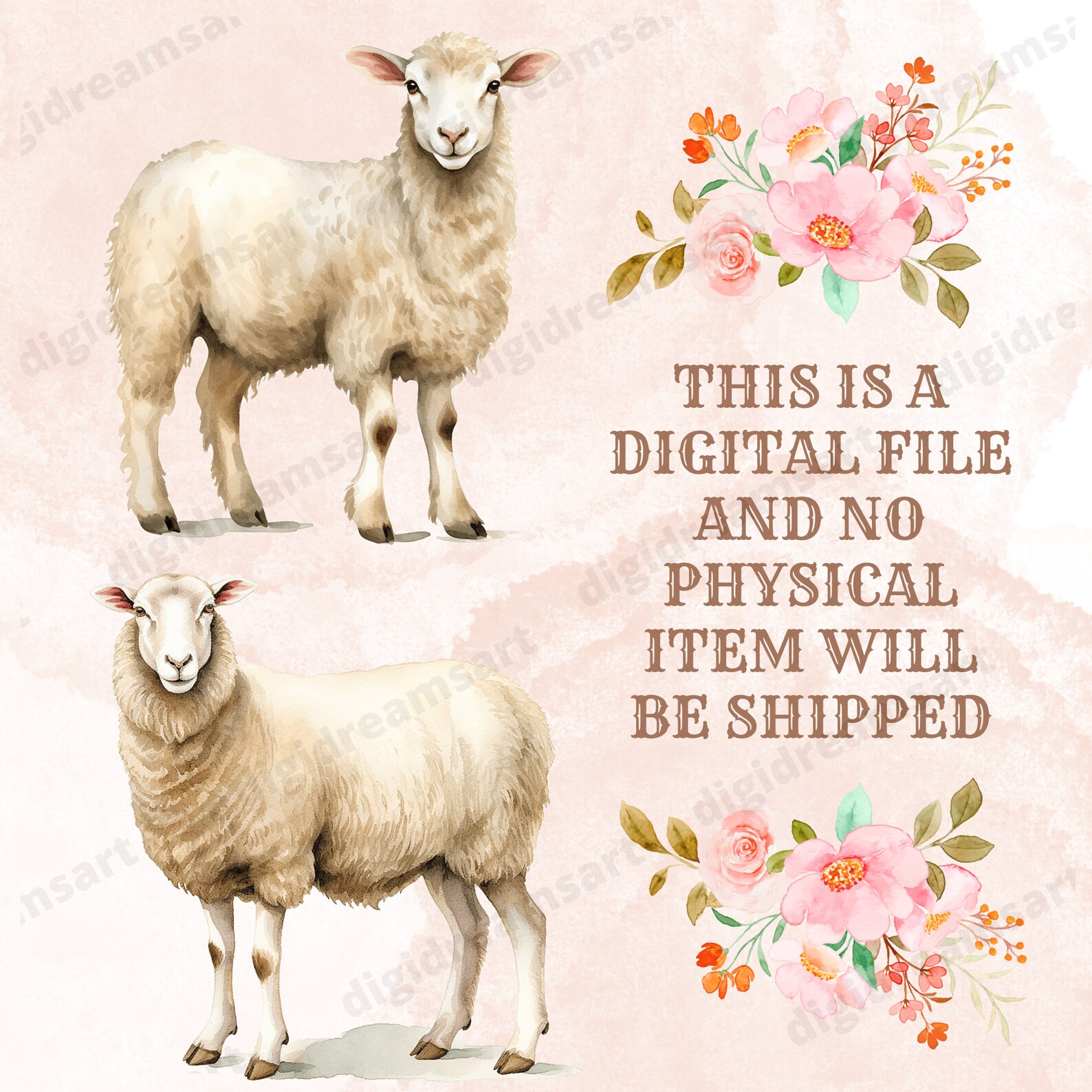Farm Sheep Clipart Bundle Transparent PNG Collection, Digital Prints ...