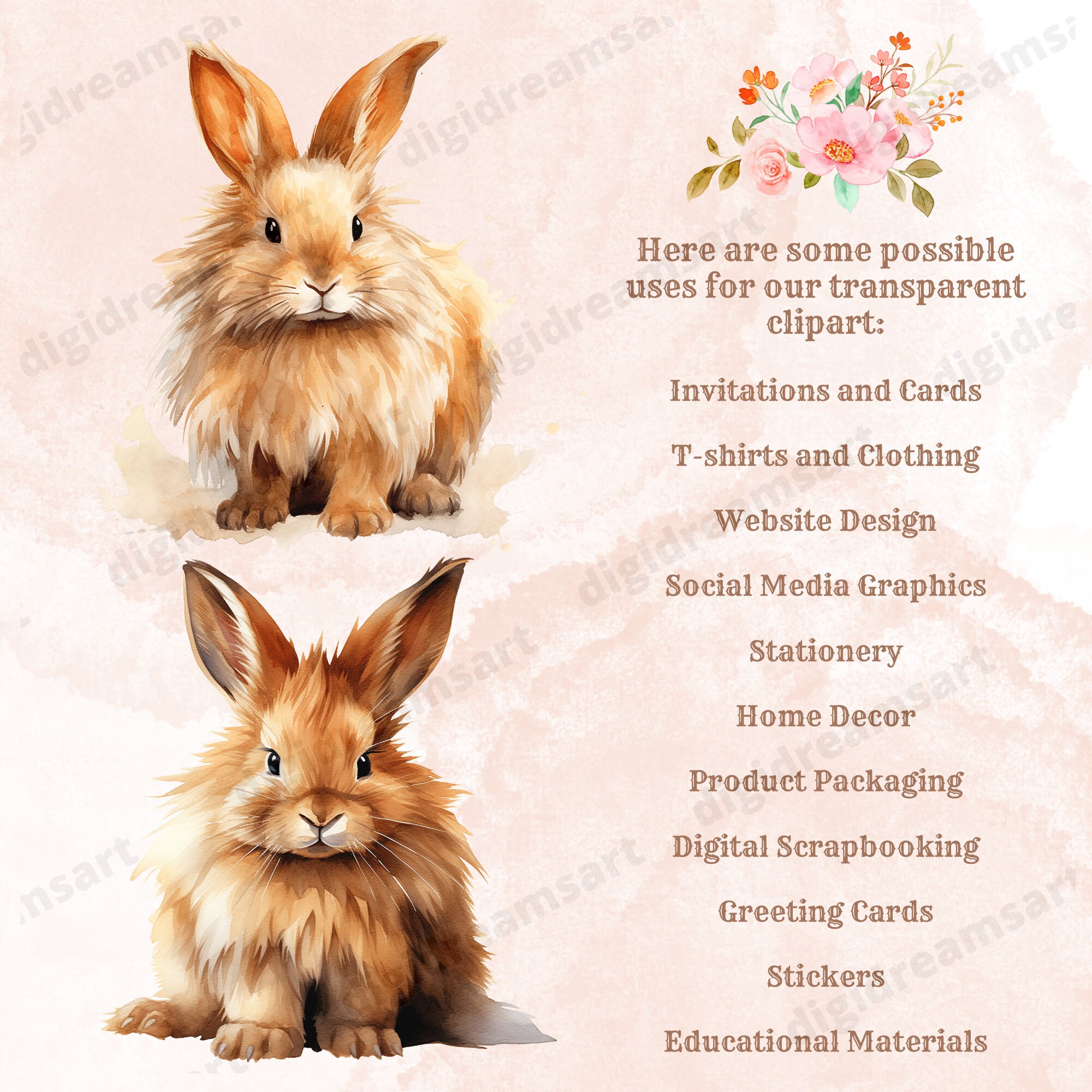 Lionhead Rabbit Clipart Bundle Transparent PNG Collection - Etsy