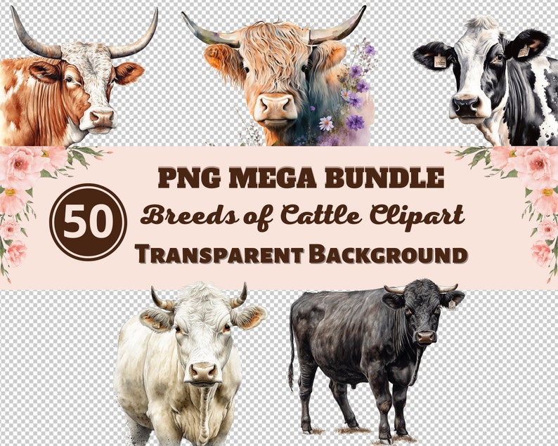 Breeds of Cattle Mega Bundle 50 PNG Clipart Transparent PNG Collection ...
