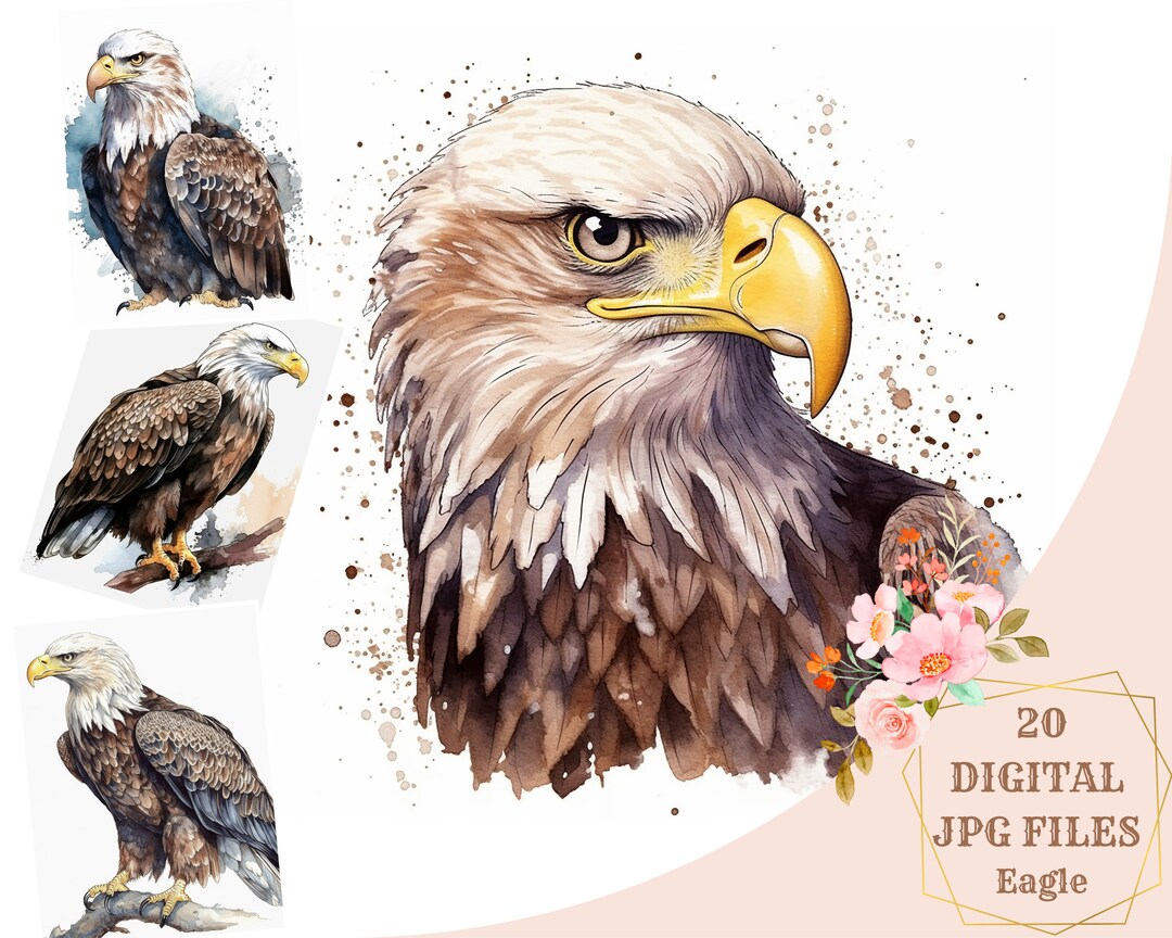 Eagle Design Bundle: Cute Clipart, Digital Prints, and T-shirt ...
