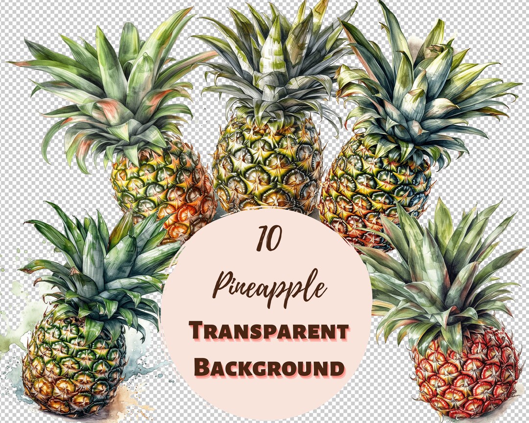 Pineapple Design Bundle - PNG Transparent Clipart Collection ...