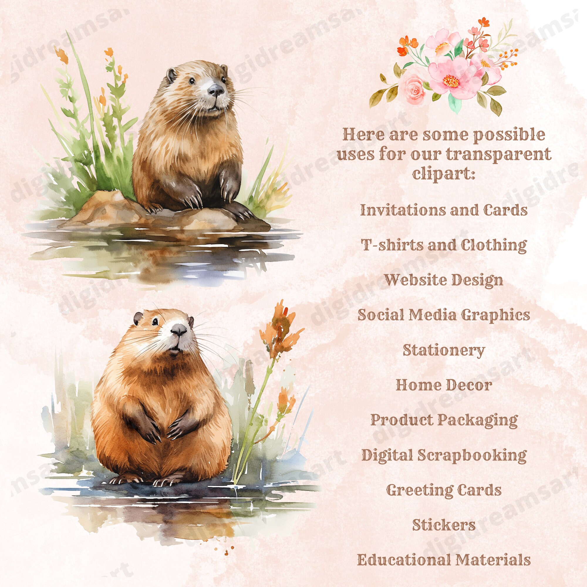 Beaver Clipart Bundle Transparent PNG Collection, Watercolor Graphics ...
