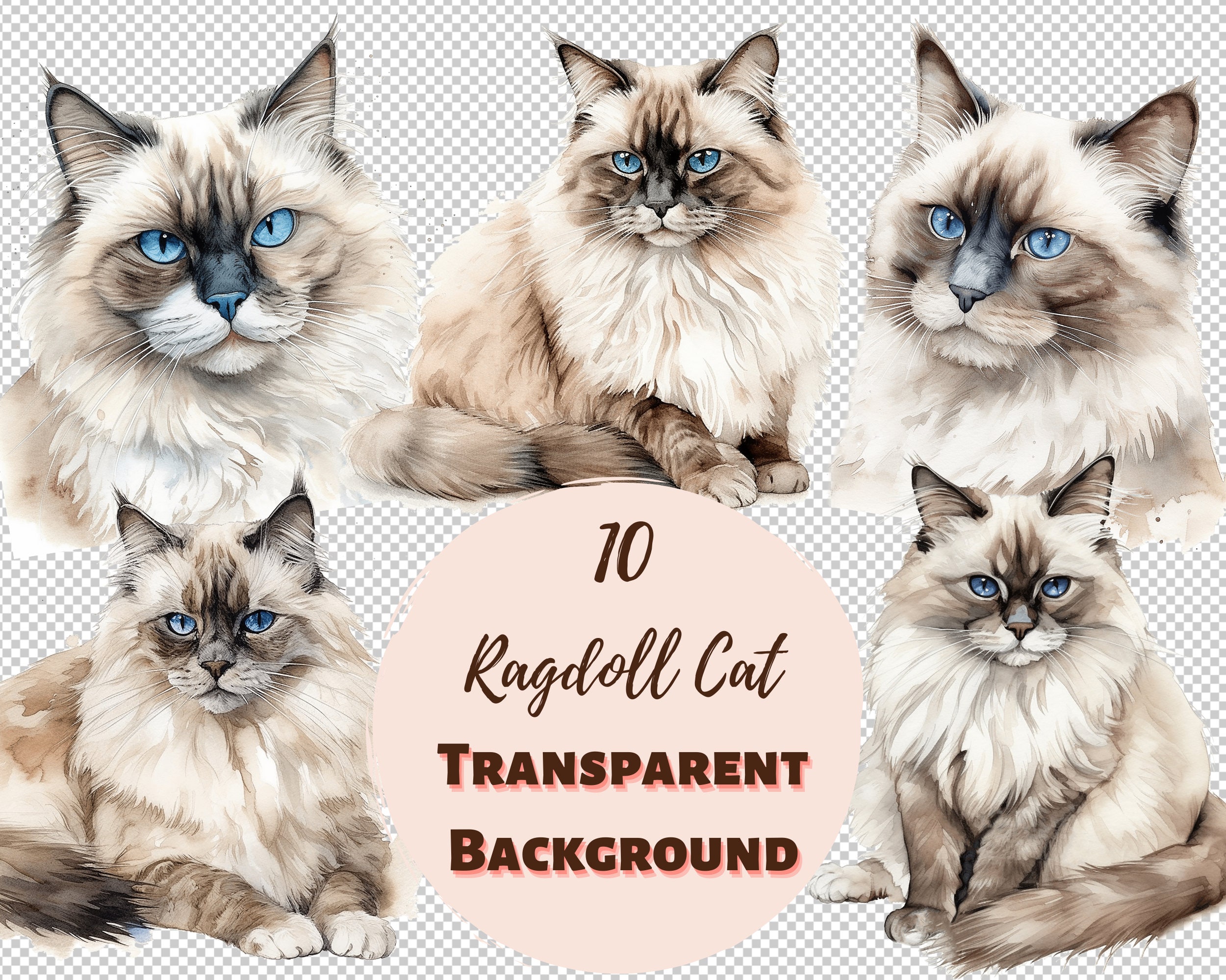 Ragdoll Cat Clipart Bundle Transparent PNG Collection, Watercolor ...