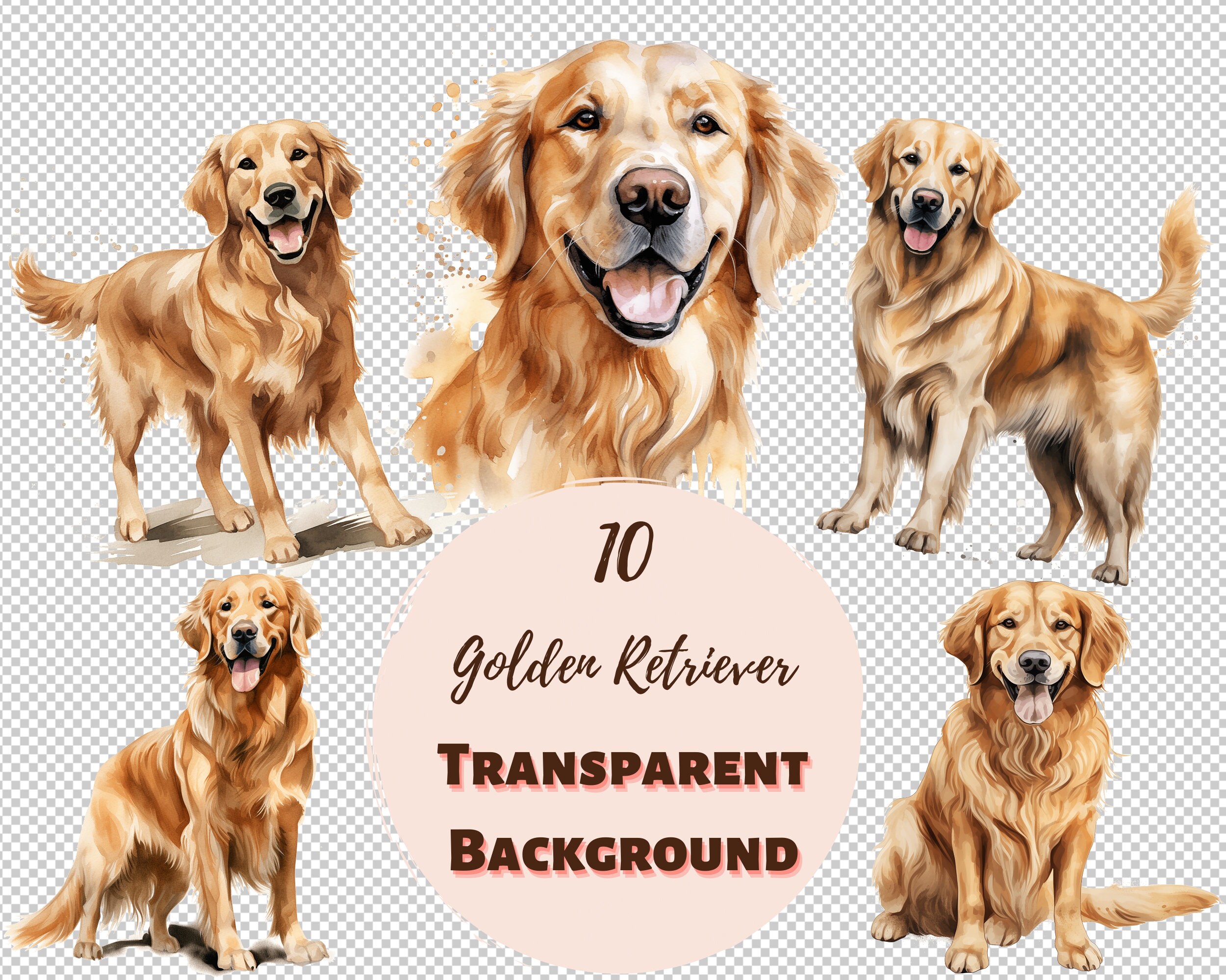 Golden Retriever Clipart Bundle Transparent PNG Collection - Etsy
