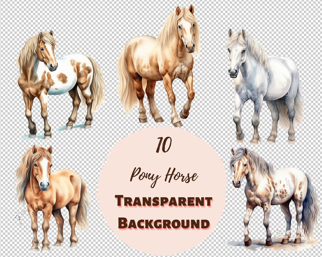 Pony Horse - Transparent PNG Collection, Watercolor Graphics, Nursery ...