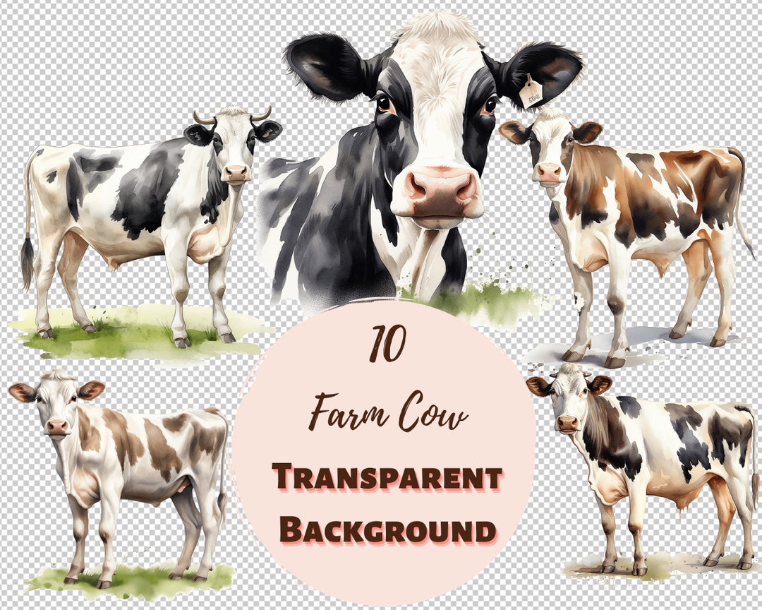 Farm Cow Clipart Bundle - Transparent PNG Collection, Digital Prints ...