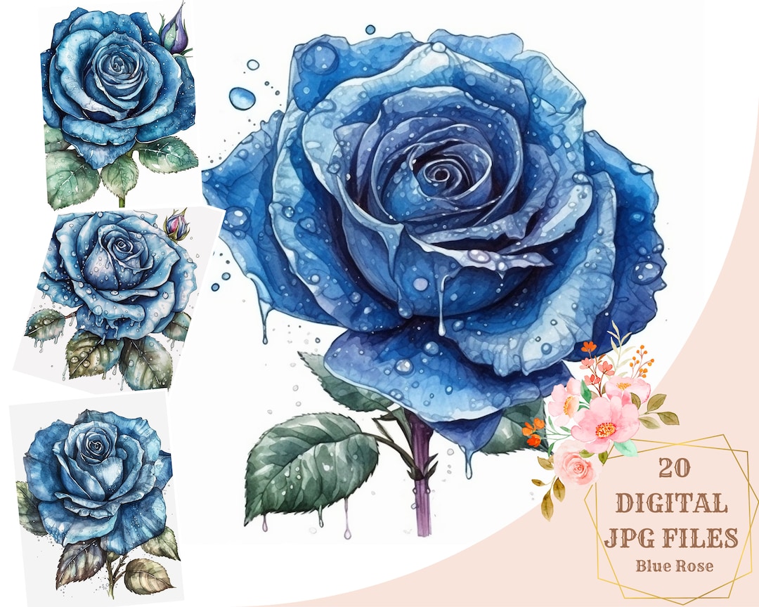 Blue Rose Design Bundle: Enchanting Clipart, Digital Prints, and T ...