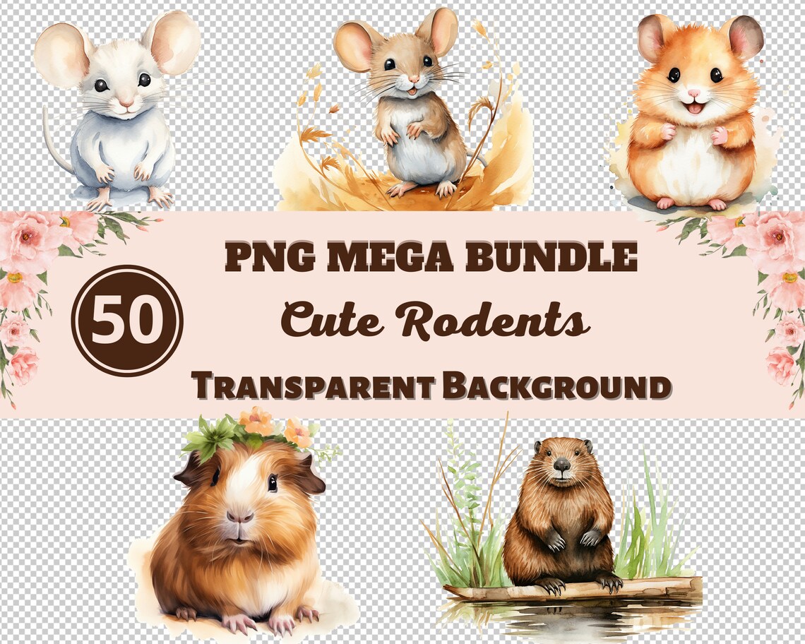 Cute Rodents Mega Bundle 50 PNG Clipart Transparent PNG - Etsy
