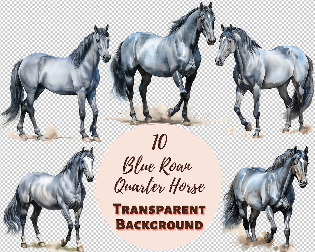 Blue Roan Quarter Horse Clipart Bundle - Transparent PNG Collection ...