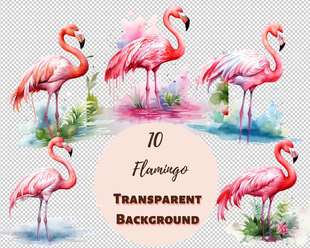 Flamingo Clipart Bundle - Transparent PNG Collection, Watercolor ...
