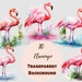 Flamingo Clipart Bundle - Transparent PNG Collection, Watercolor ...