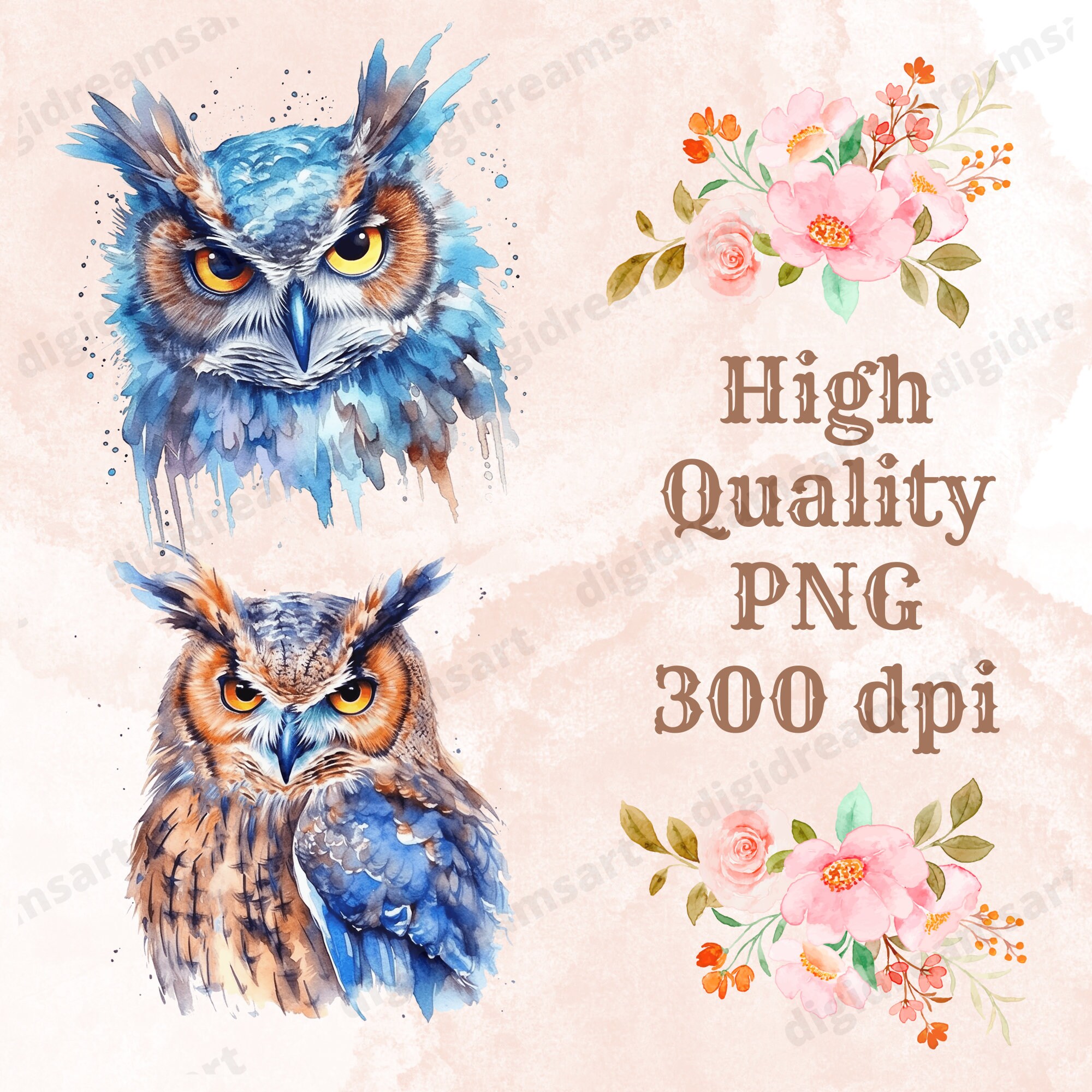 Owl Clipart Bundle Transparent PNG Collection, Digital Prints, Clipart ...