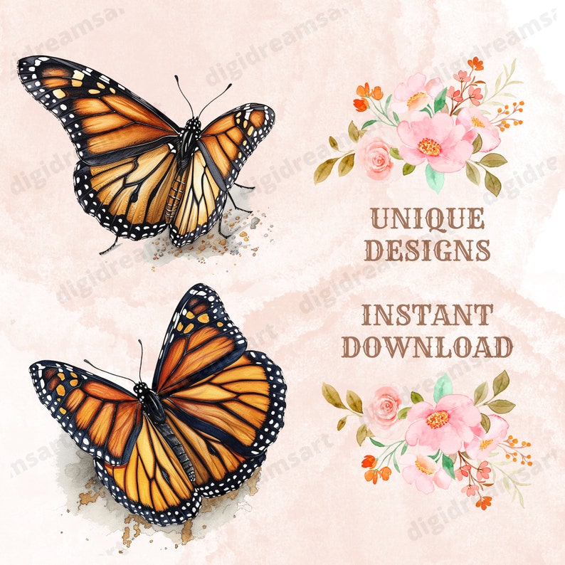 Monarch Butterfly Clipart Bundle Transparent PNG Collection - Etsy