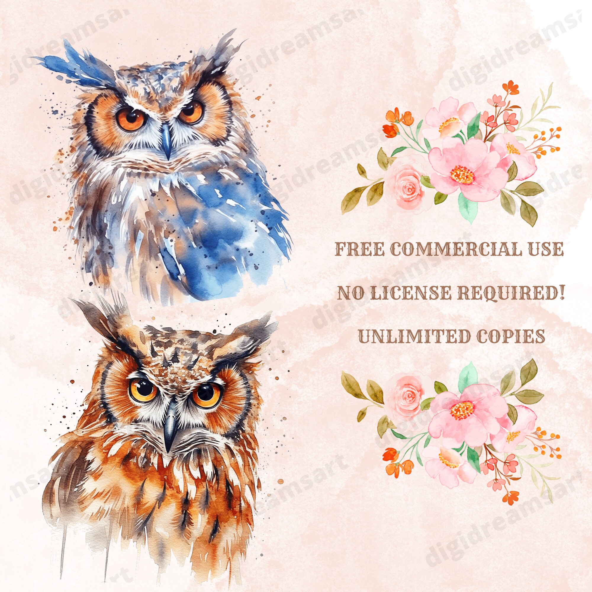 Owl Clipart Bundle Transparent PNG Collection, Digital Prints, Clipart ...