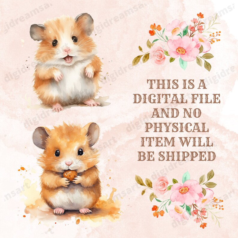Cute Rodents Mega Bundle 50 PNG Clipart Transparent PNG - Etsy