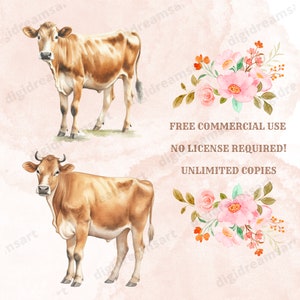Jersey Cow Clipart Bundle - Transparent PNG Collection, Digital Prints ...