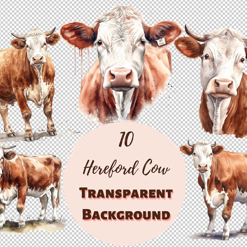 Vintage Hereford Art - Etsy