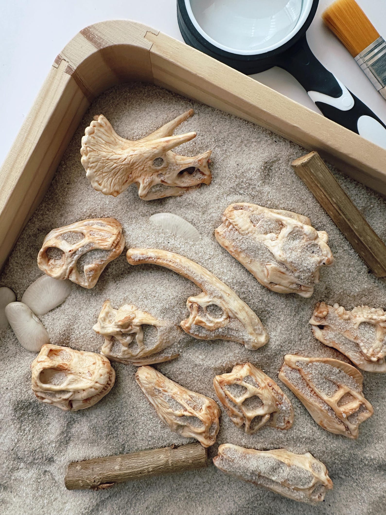 Fossil Dig Discovery Mini Sensory Bin, Dinosaur Fossil Sensory Kit ...