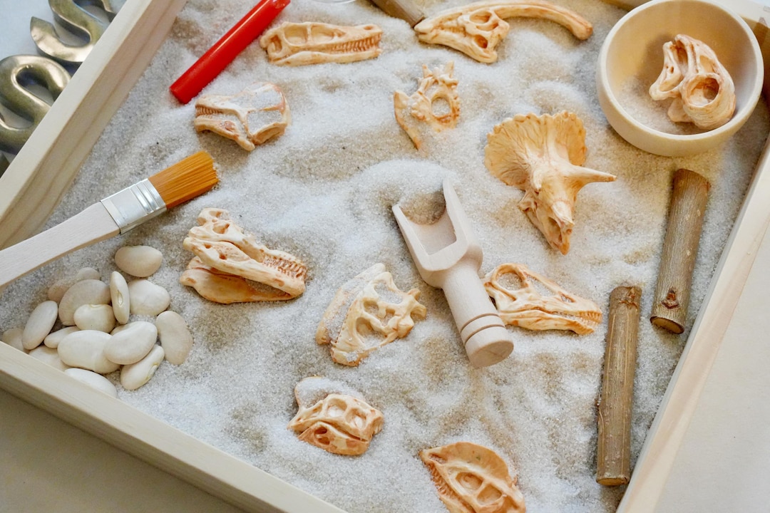 Dinosaur Fossil Sensory Bin, Sand Dig Kit, Montessori Dino Activity ...
