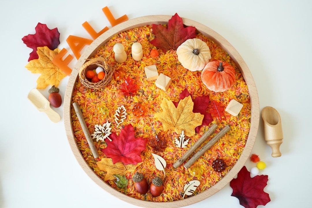 Autumn Harvest Sensory Bin, Montessori Learning, Sensory Play, Resin ...