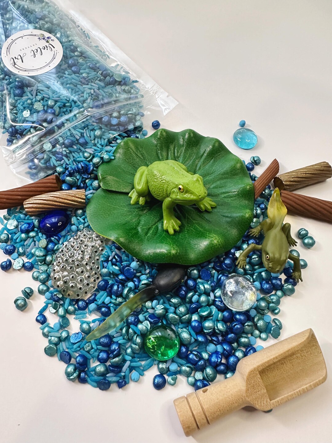 Shimmering Pond Frog Sensory Bin, Mini STEM Set, Frog Life Cycle Play ...