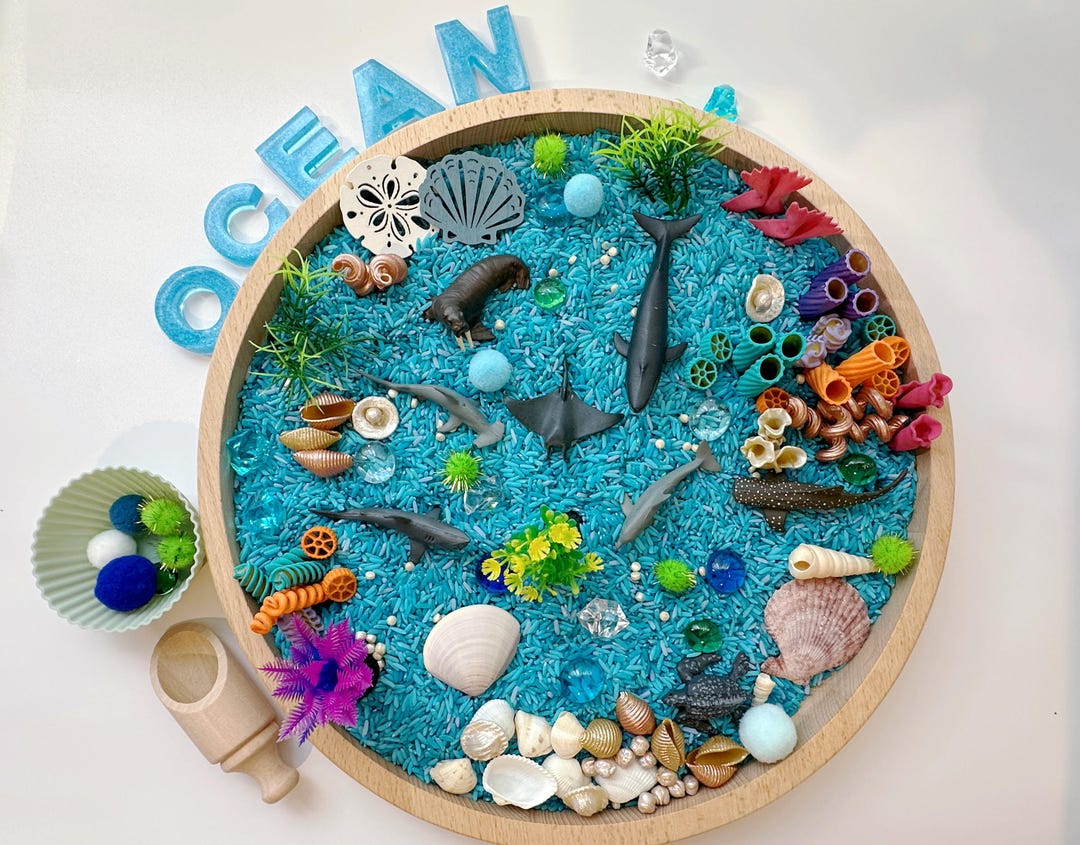 Ocean Exploration Sensory Bin, Montessori Under the Sea Play, Resin ...