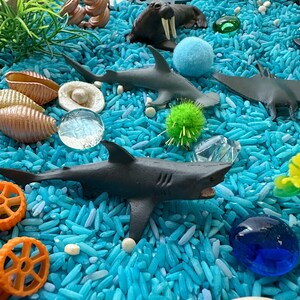 Ocean Exploration Sensory Bin, Montessori Under the Sea Play, Resin ...