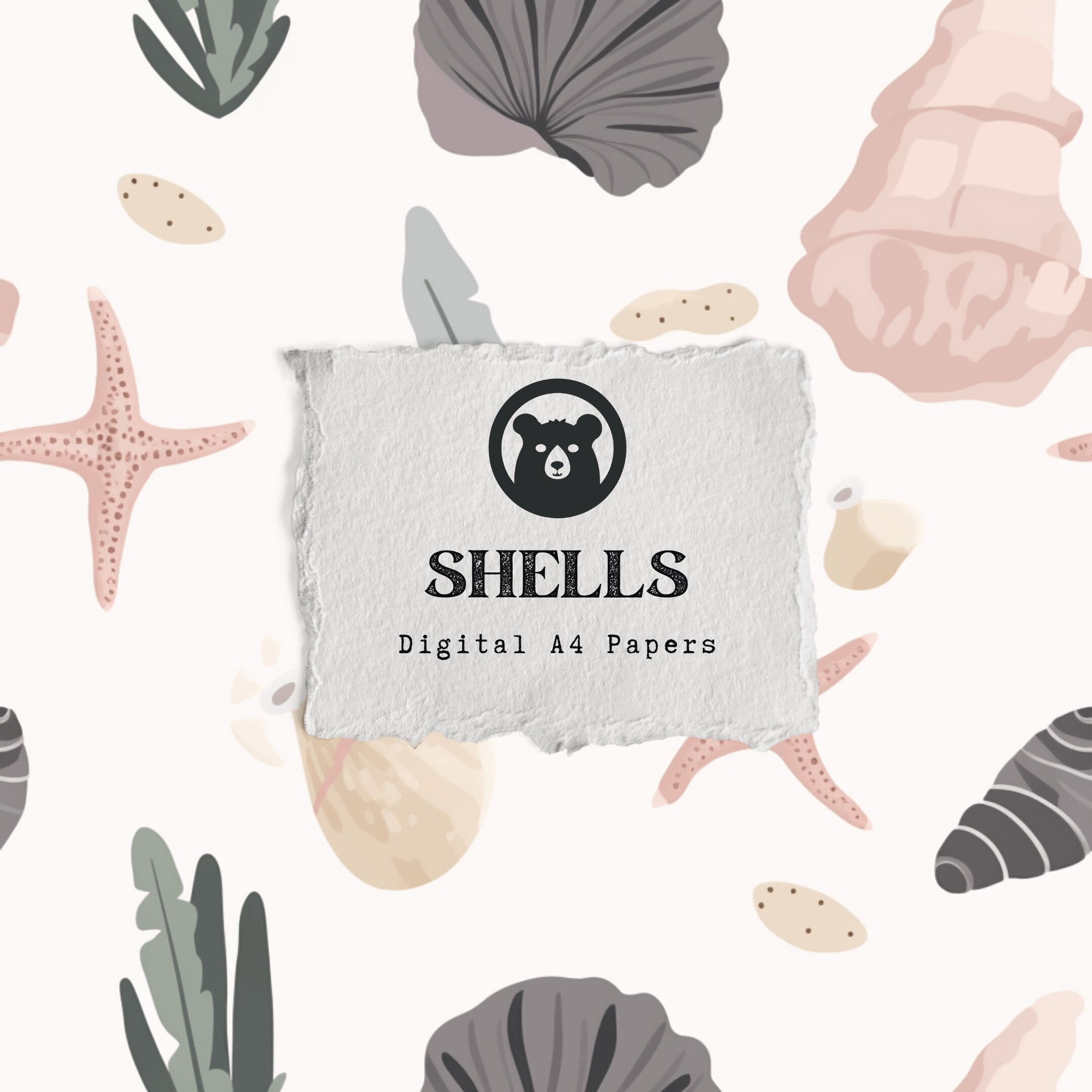 Seashell Digital Paper Pack - Etsy