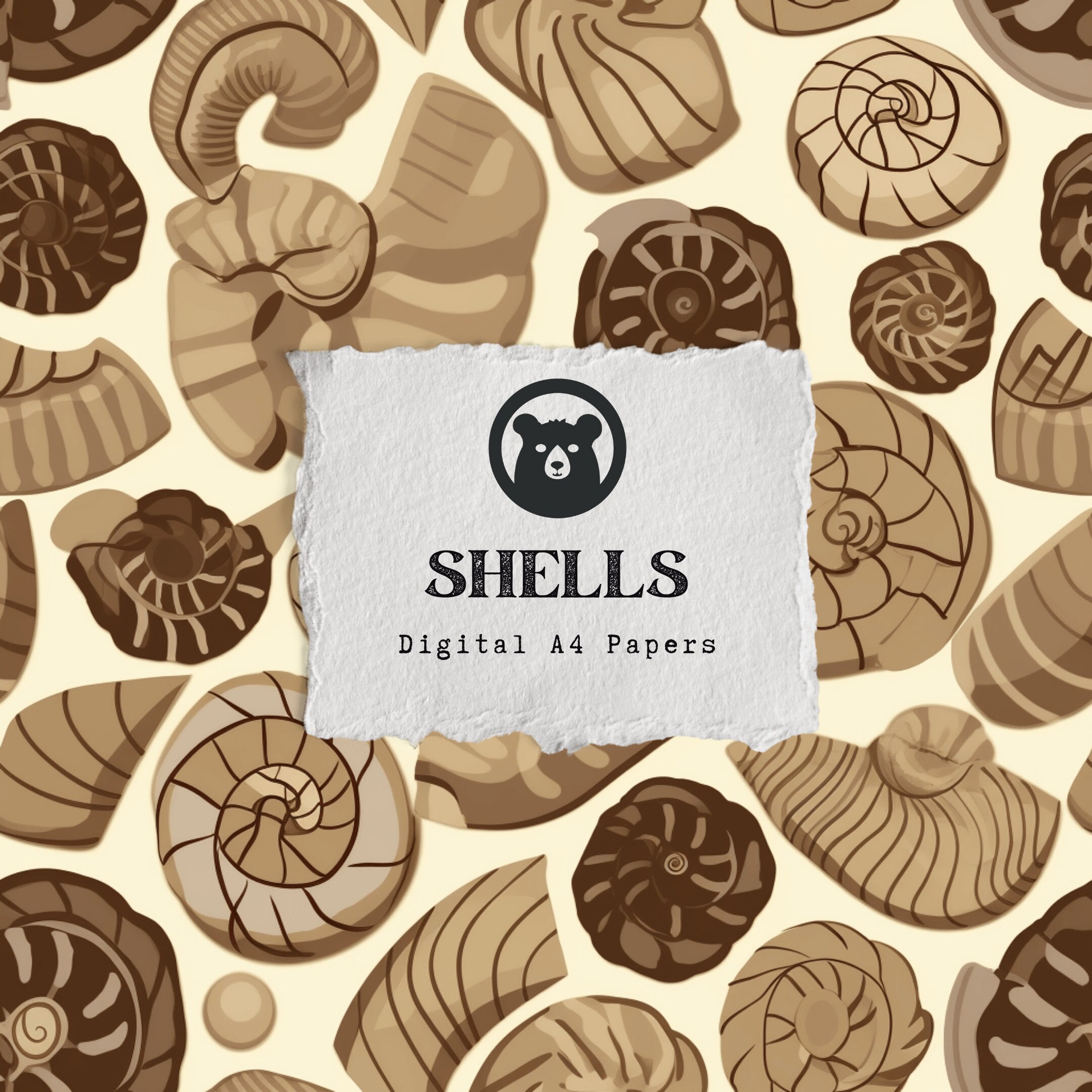 Seashell Digital Paper Pack - Etsy