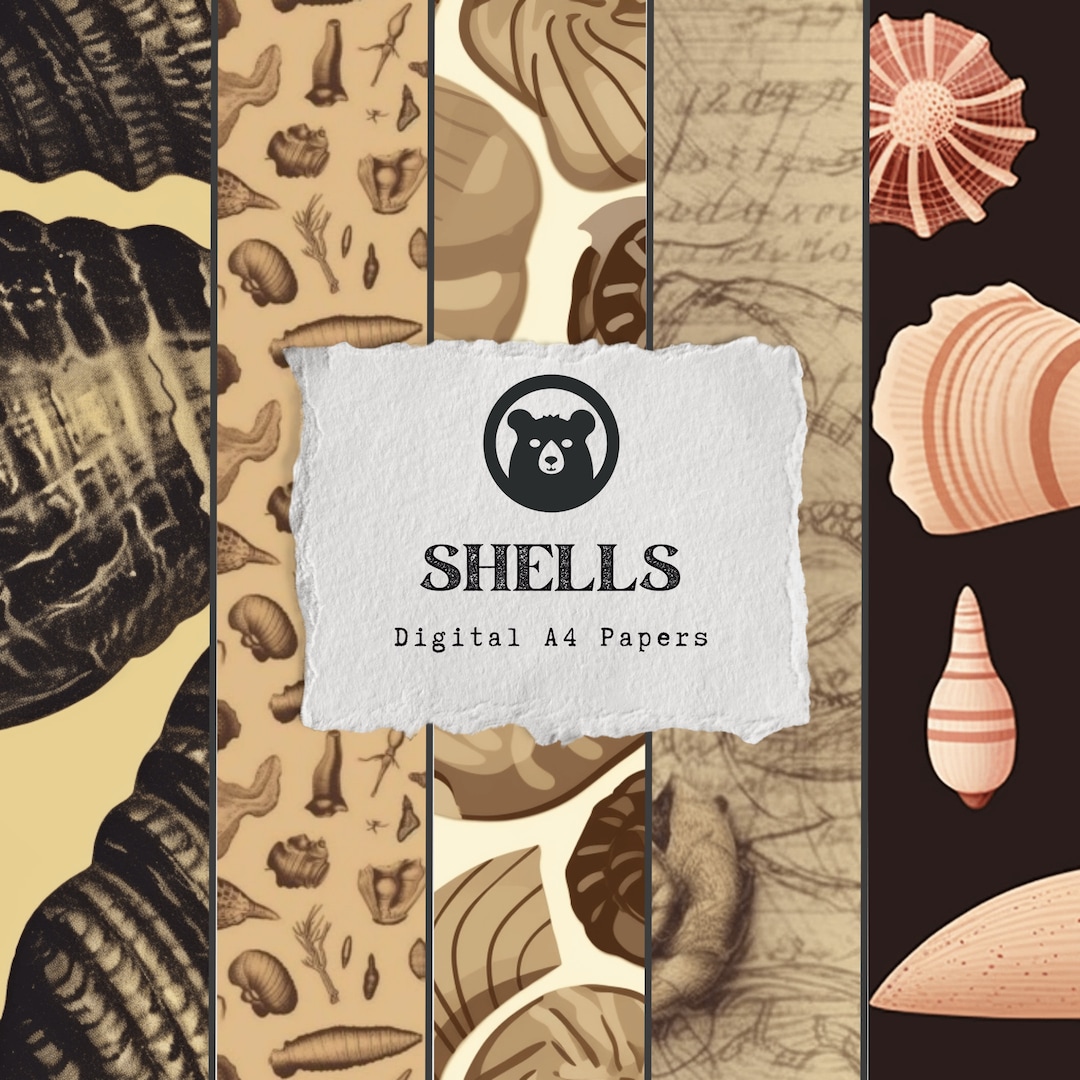Seashell Digital Paper Pack - Etsy