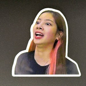 TWICE Meme Stickers | Twice | Stickers | Funny | Meme | Kpop | Merch ...