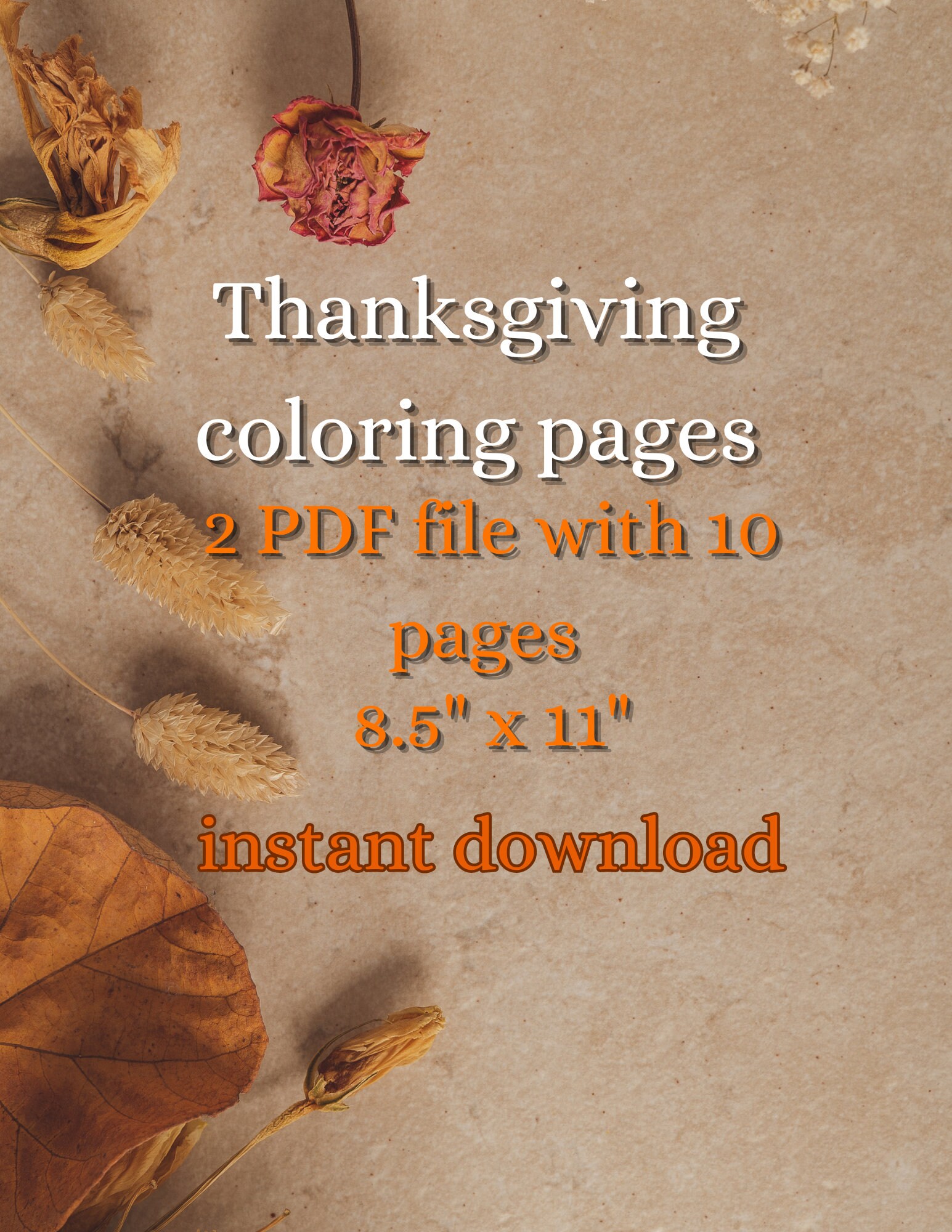 Autumn Coloring Pages PDF Instant Downloads Fall Coloring - Etsy