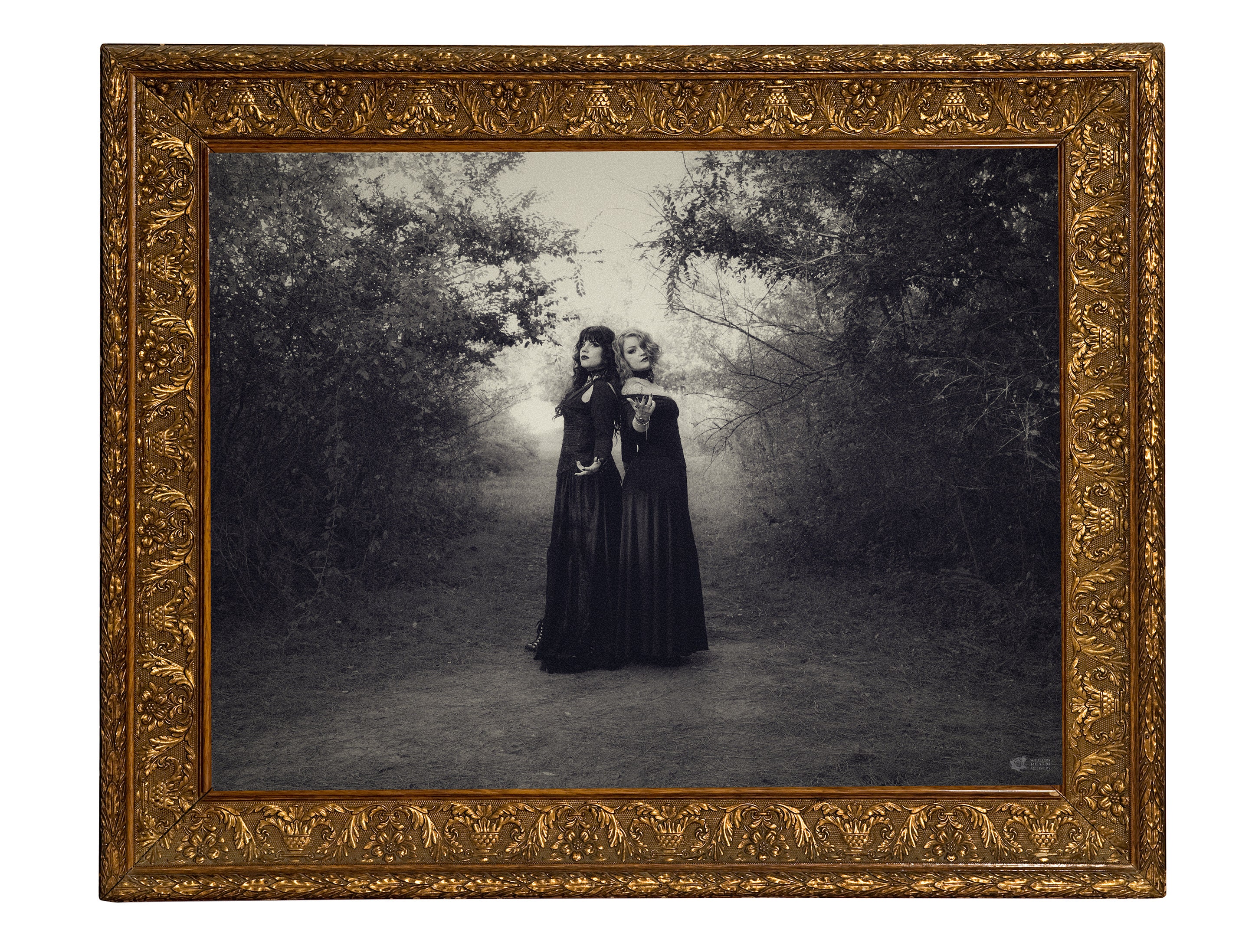 Vintage Witches Collection, Instant Download, Portrait, Canvas Wall ...