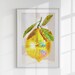 Disco Lemon Art Print, Glam Disco Ball Lemon, Wall Art Poster, Disco ...