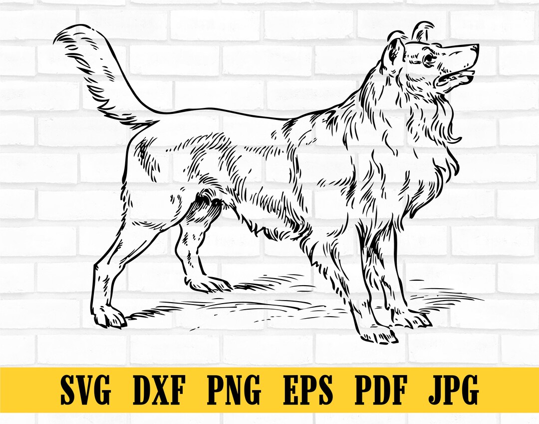 Perro SVG Silueta de perro Svg Perro juguetón Svg Raza de - Etsy España