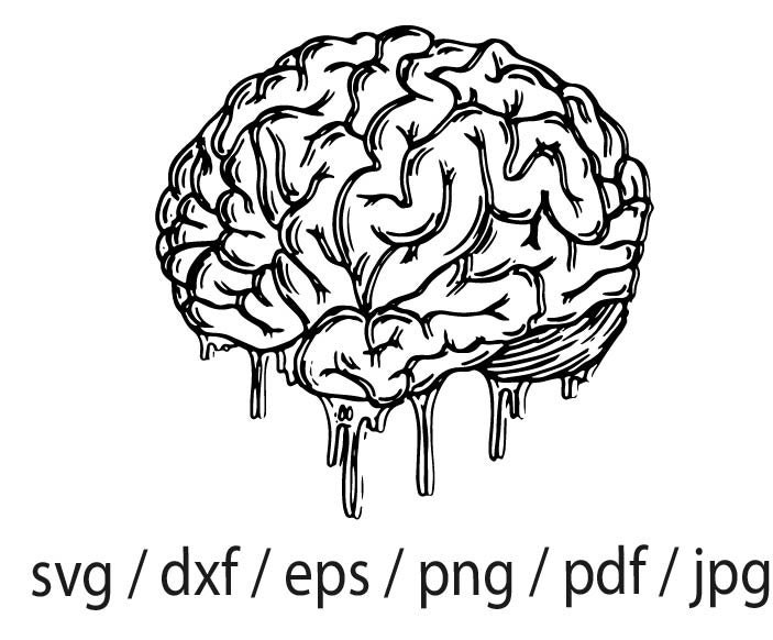 Melting Brain,brain SVG, Brain Cut File, Brain DXF, Brain PNG, Brain ...