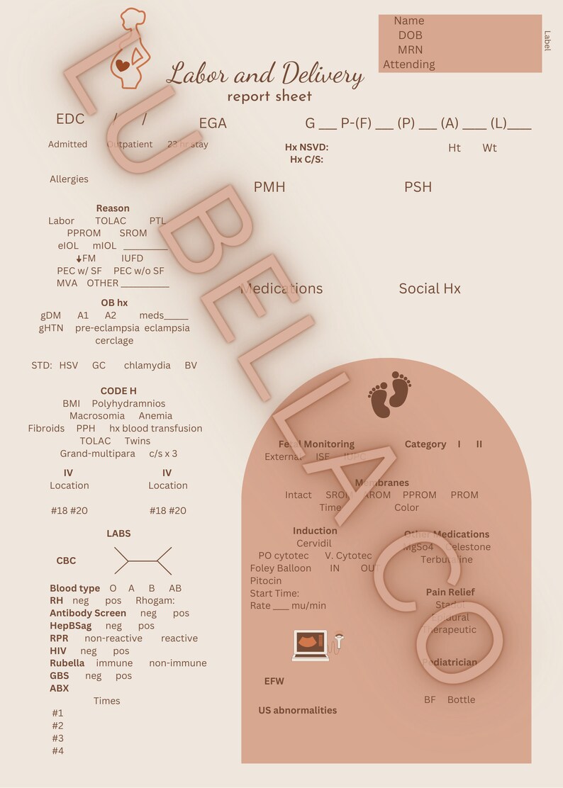 Labor and Delivery Report Sheet - Etsy