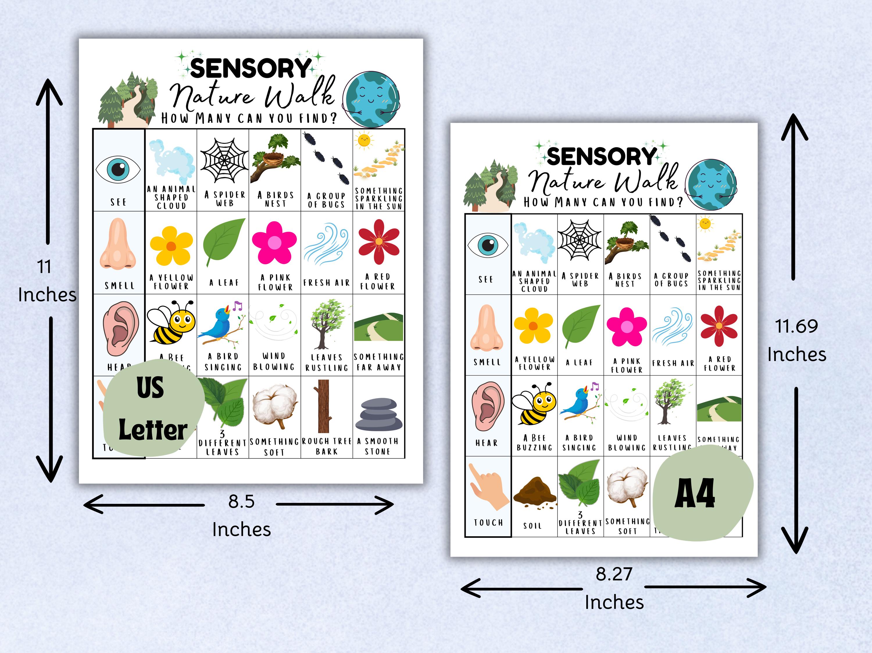 Sensory Nature Walk Scavenger Hunt, Outdoor Summer Activity/bingo ...