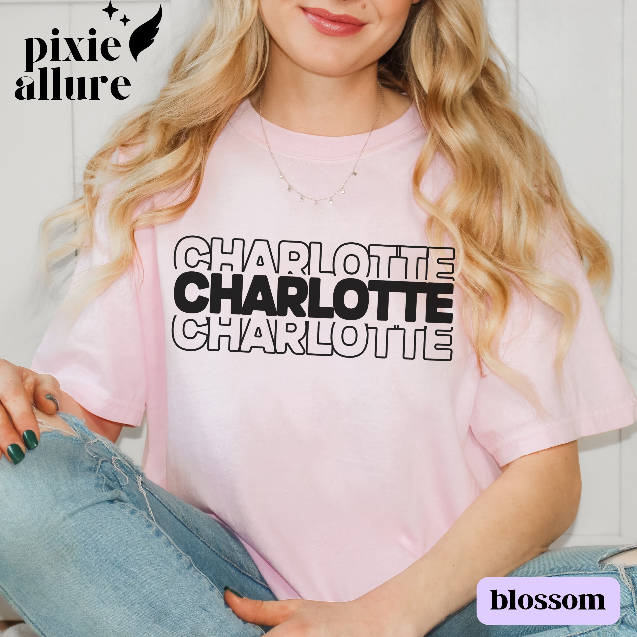 Charlotte Shirt North Carolina Shirt Charlotte Group Tee Charlotte ...